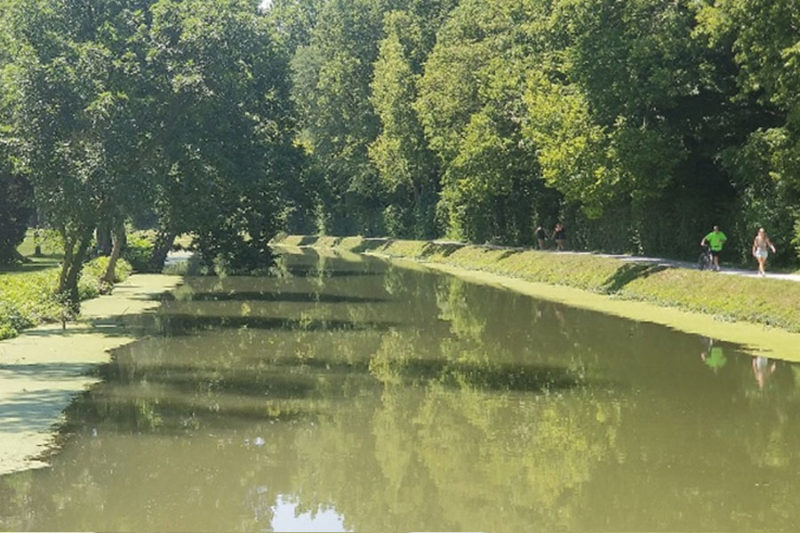 Rocky Ripple Levee Extension – 7NT Engineering